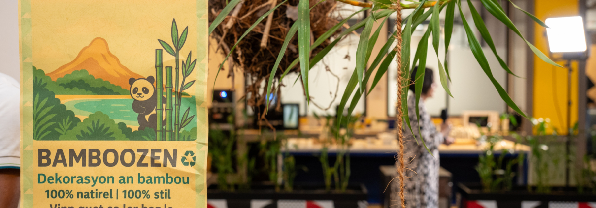 JA Company of the Year Expo Featured on MBC - JA Mascareignes